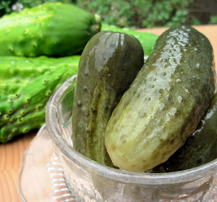 Sunshine Dill Pickles Recipe - Genius Kitchen