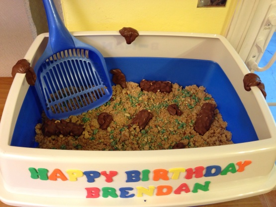 Liter And Cat Poop Cake