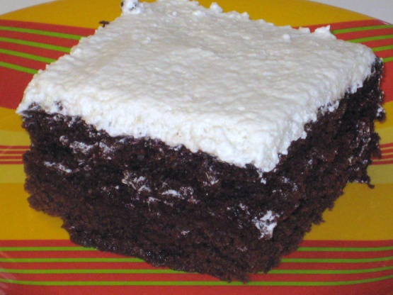 wacky cake 9x13