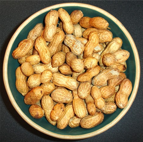 Basic Oven Roasted Peanuts Recipe - Southern.Food.com