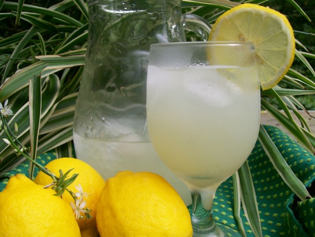Sparkling Lemonade Recipe - Food.com
