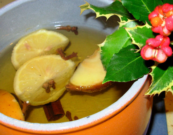 Holiday Fragrance Recipe - Food.com