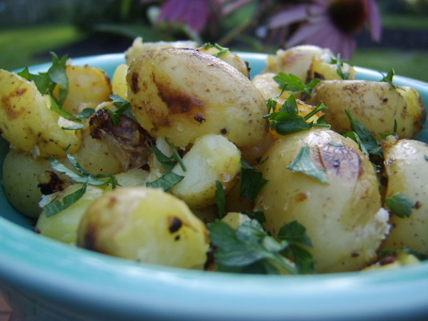 Small Gold Potatoes Recipe / Solid Gold Mighty Mini Lamb, Sweet Potato ...