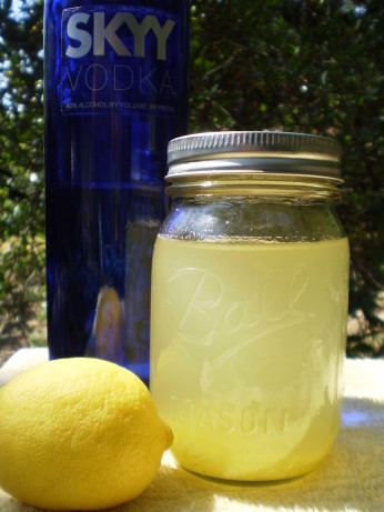 Lemon Vodka Recipe - Food.com