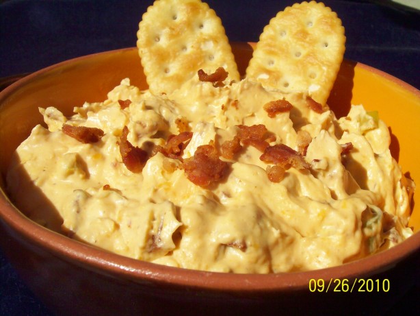 33 Epic Melted Cheese Recipes - Food.com