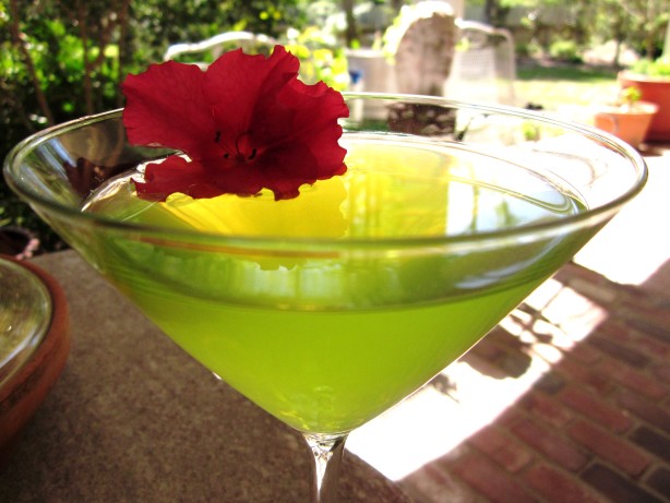 Fun Margarita Recipes For A Party - Food.com