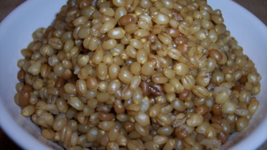 cooked wheat grain
